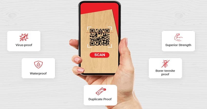 The CenturyPromise Seal of Authenticity: What It Means for Your Plywood ...